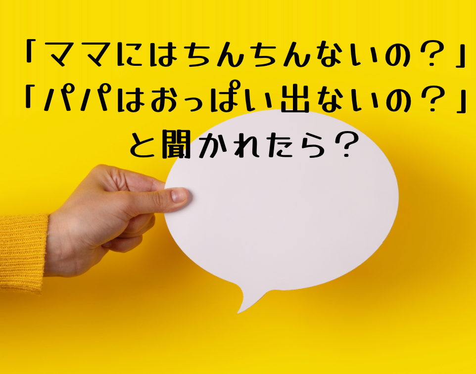 【子どもの性への疑問】「ママにはちんちんないの？」「パパはおっぱい出ないの？」と聞かれたら？ – READY BOX STORE